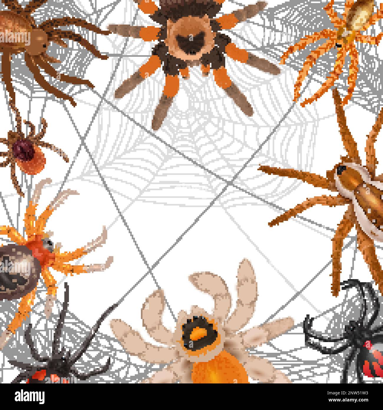 Realistic spiders frame with different types of spiders hanging on web ...