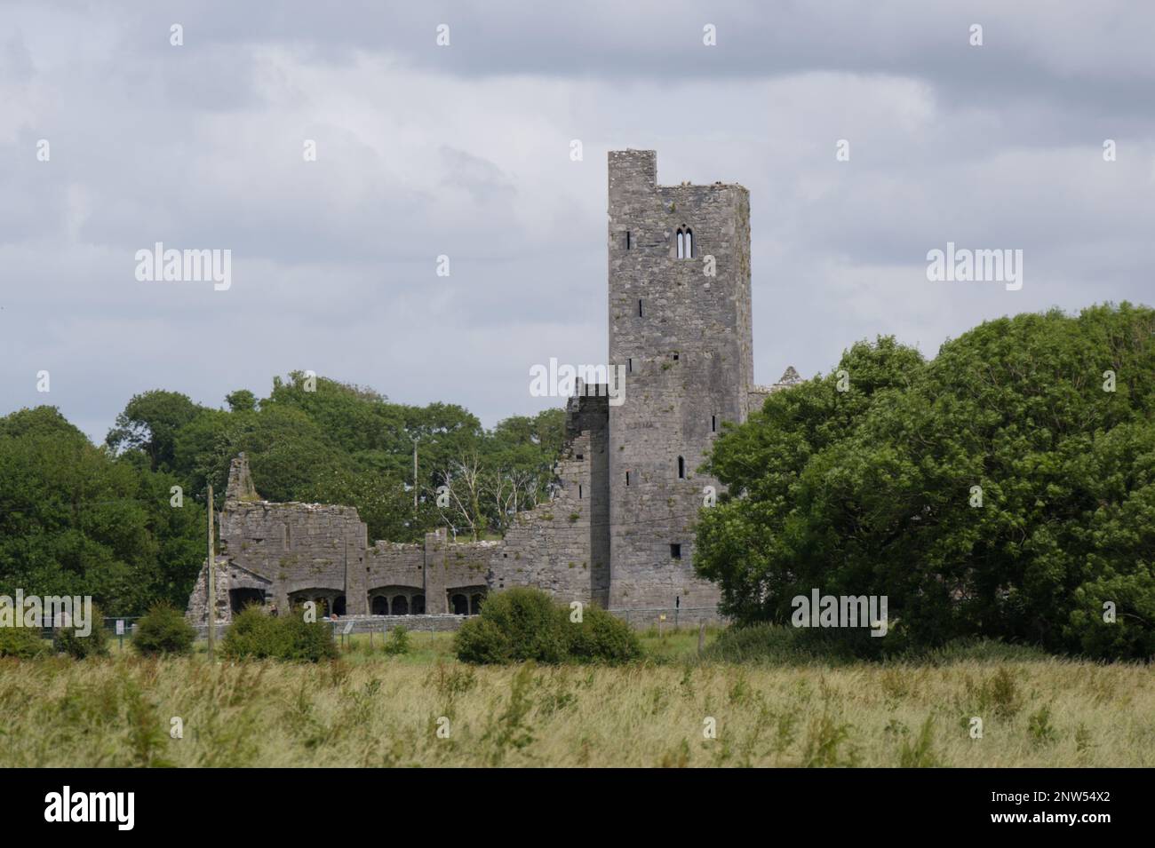 Ardfert Abbey, also known as Ardfert Friary County Kerry EIRE Ireland ...