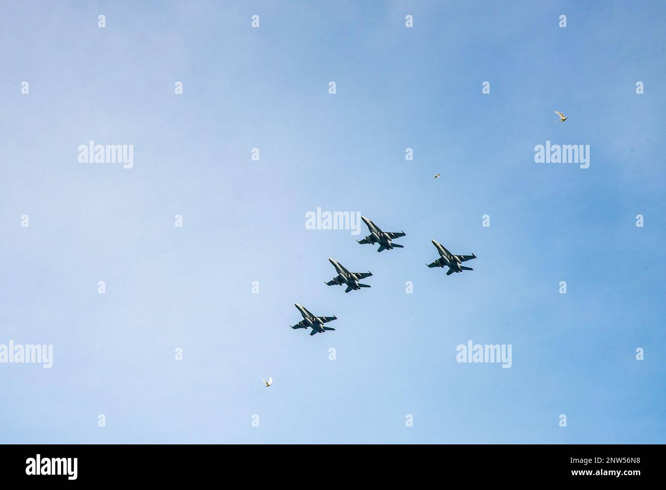 70 years 312 squadron hi-res stock photography and images - Alamy