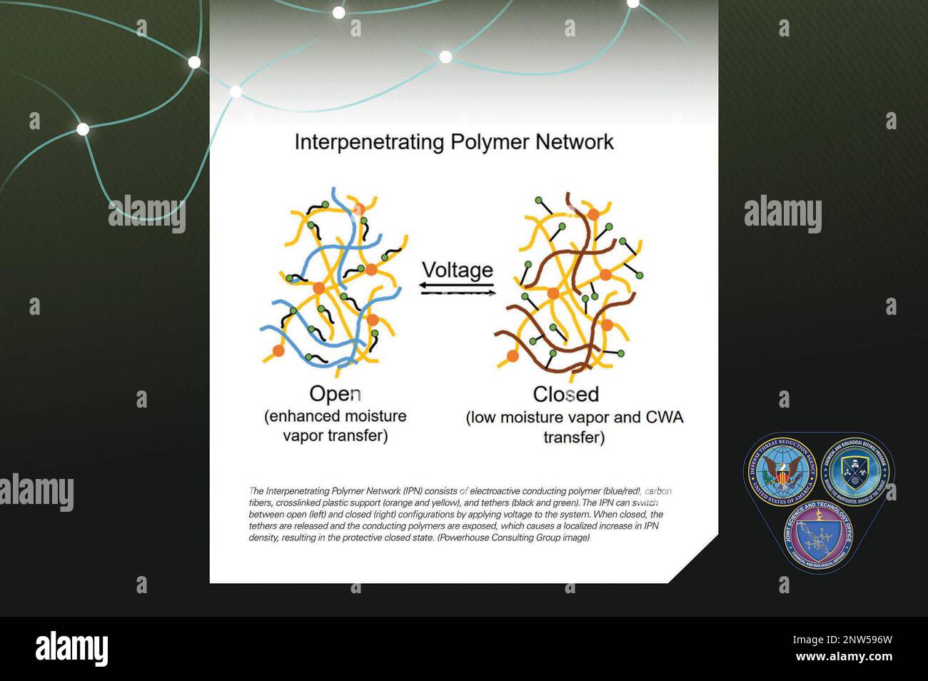 Interpenetrating polymer network ipn hi-res stock photography and ...