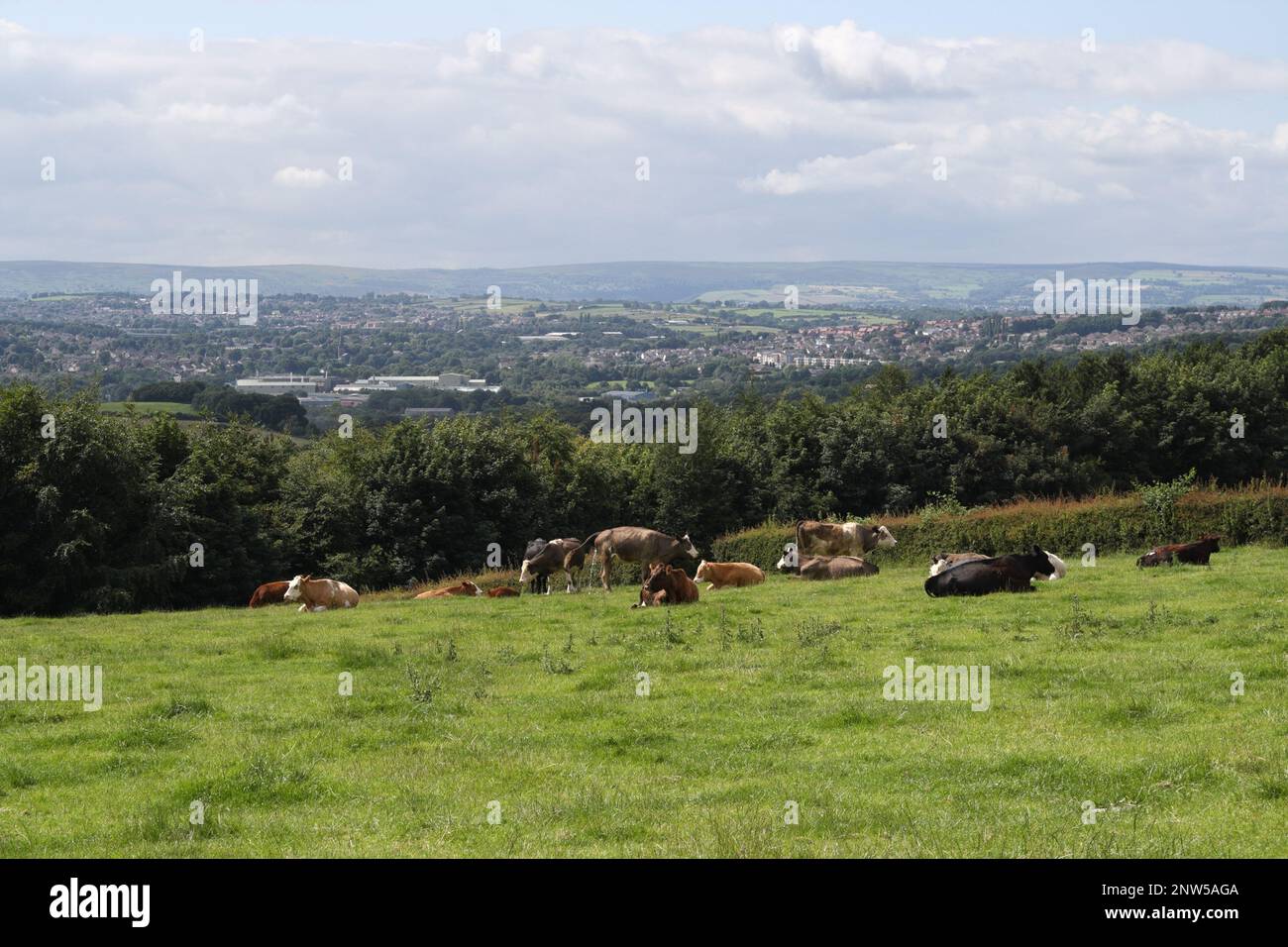 scenic Derbyshire landscape England UK, distant view of Dronfield and ...