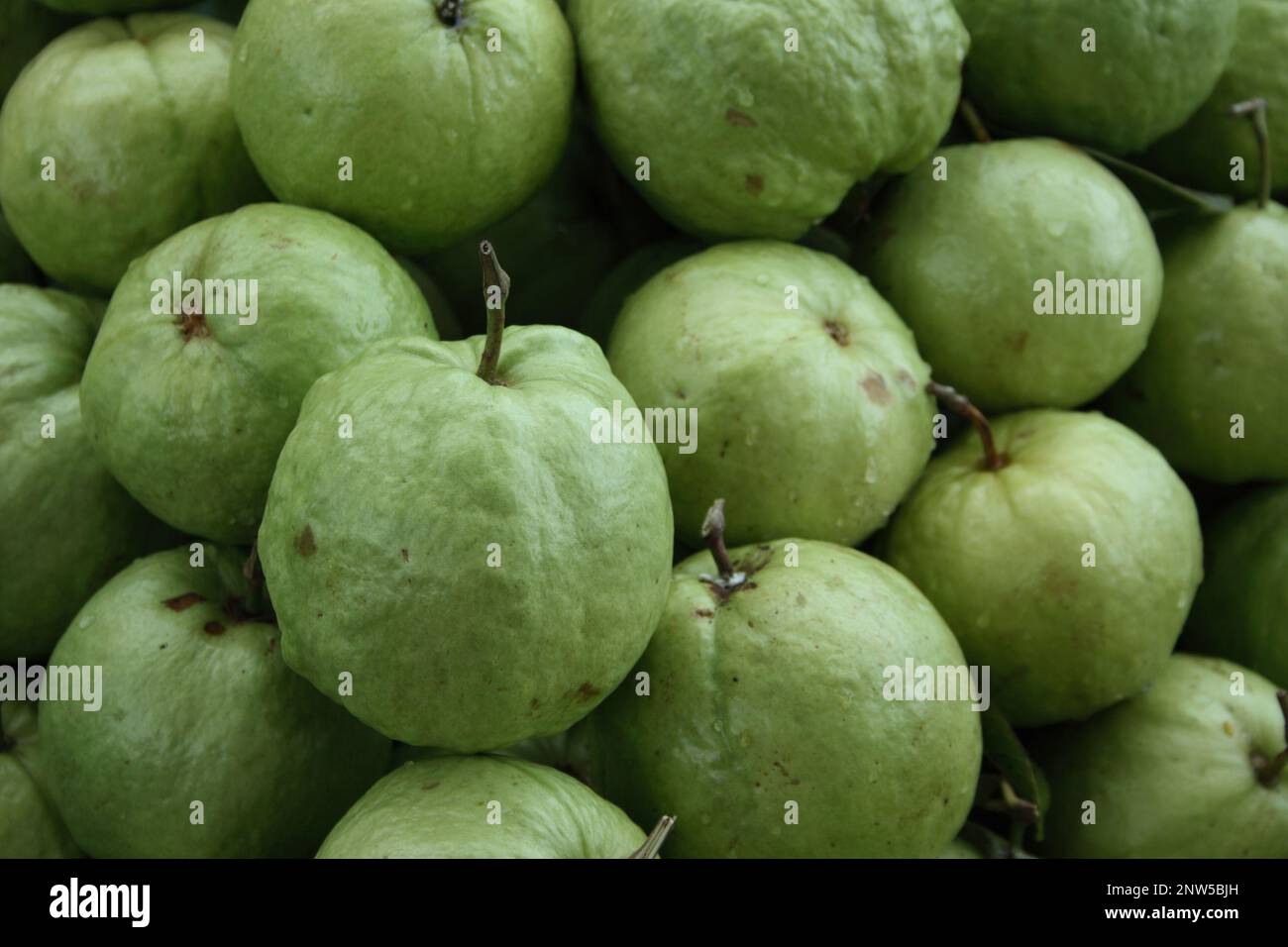 Close-up on a stack of guava apples for sale on a market stall Stock ...