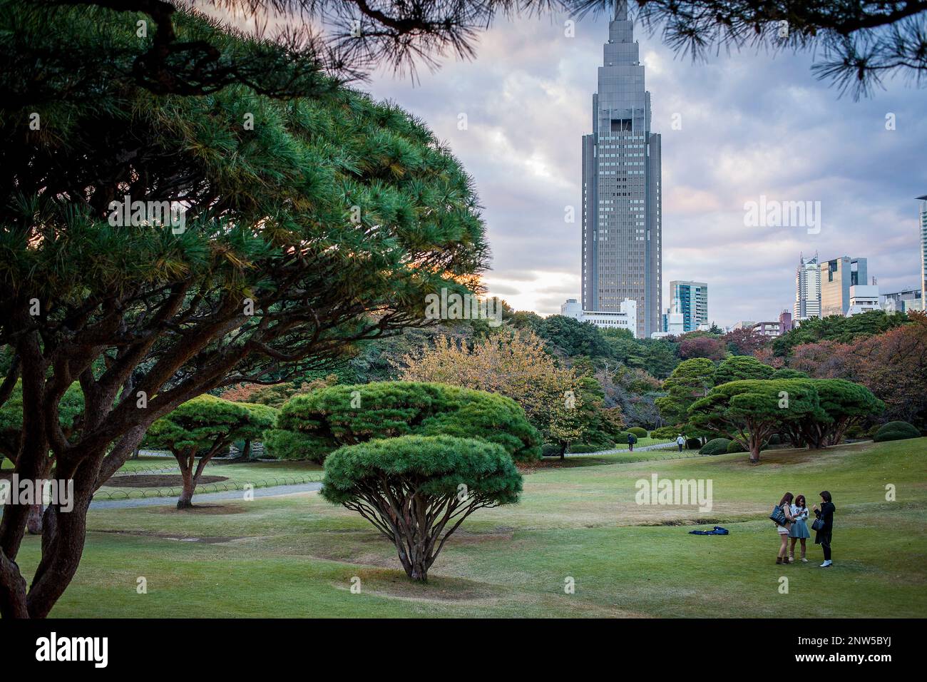 Shinjuku Gyoen park, Tokyo, Japan Stock Photo - Alamy