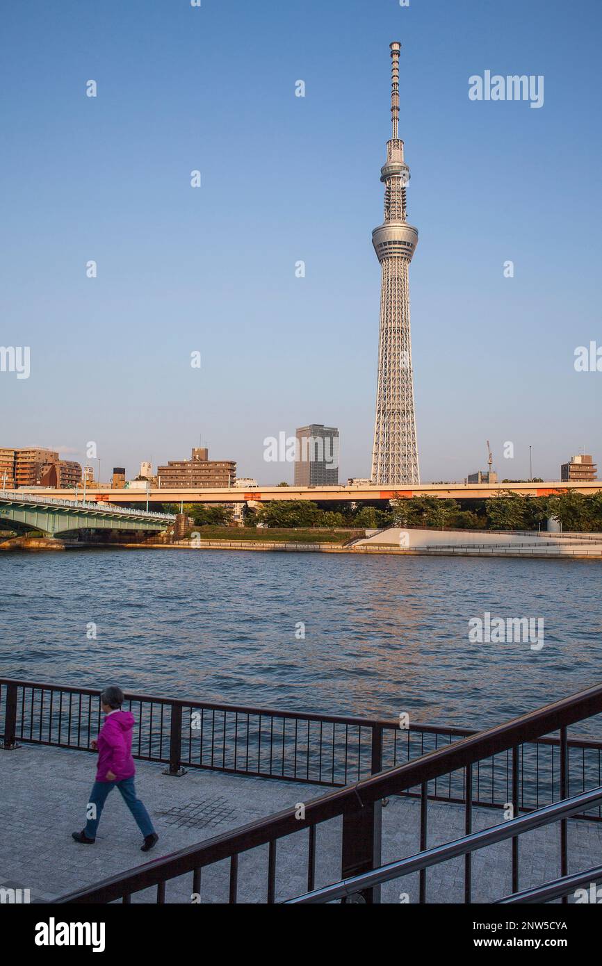 Sky Tree from Sumida Koen Park, Asakusa District, Tokyo, Japan Stock Photo - Alamy