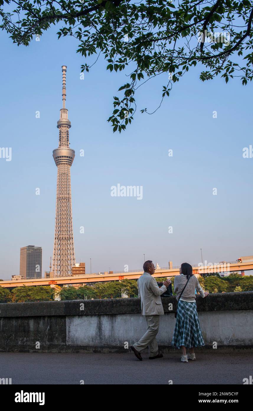 Sky Tree from Sumida Koen Park, Asakusa District, Tokyo, Japan Stock ...