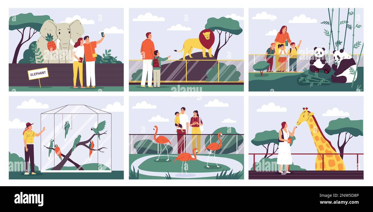 Zoo visitors flat compositions set with people looking at wild animals ...