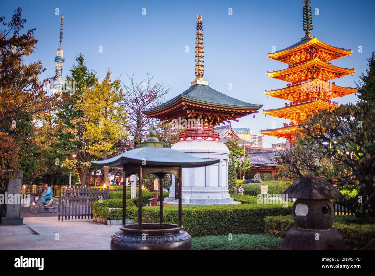 Senso-ji Temple and in background at left the Sky Tree Tower, Asakusa ...