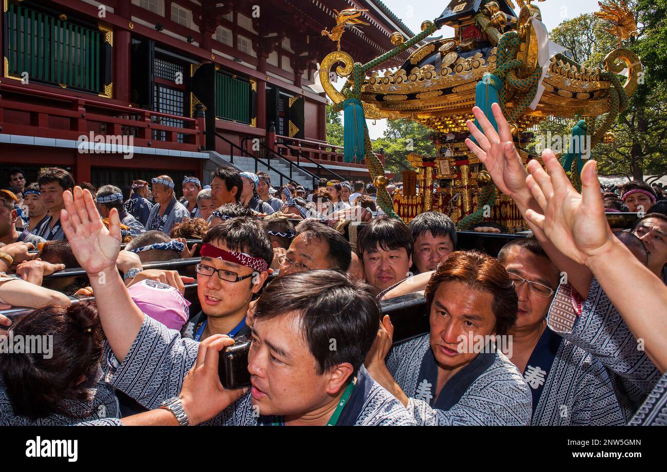 Sanja Matsuri Festival, Sensoji Temple, Asakusa Jinja, Asakusa, Tokyo ...