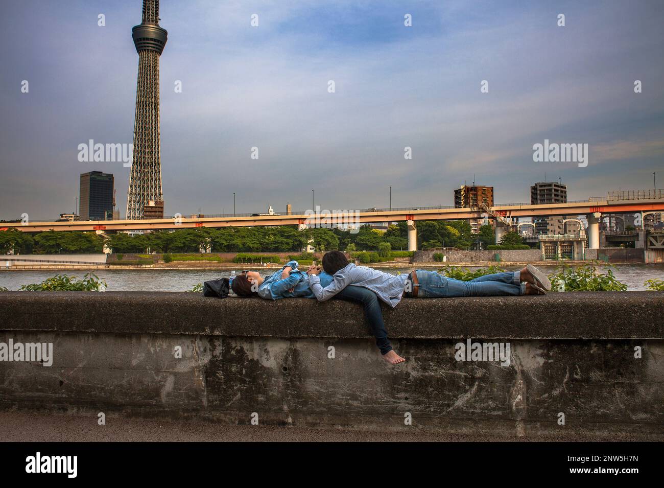 Sky Tree from Sumida Koen Park, Asakusa District, Tokyo, Japan Stock ...