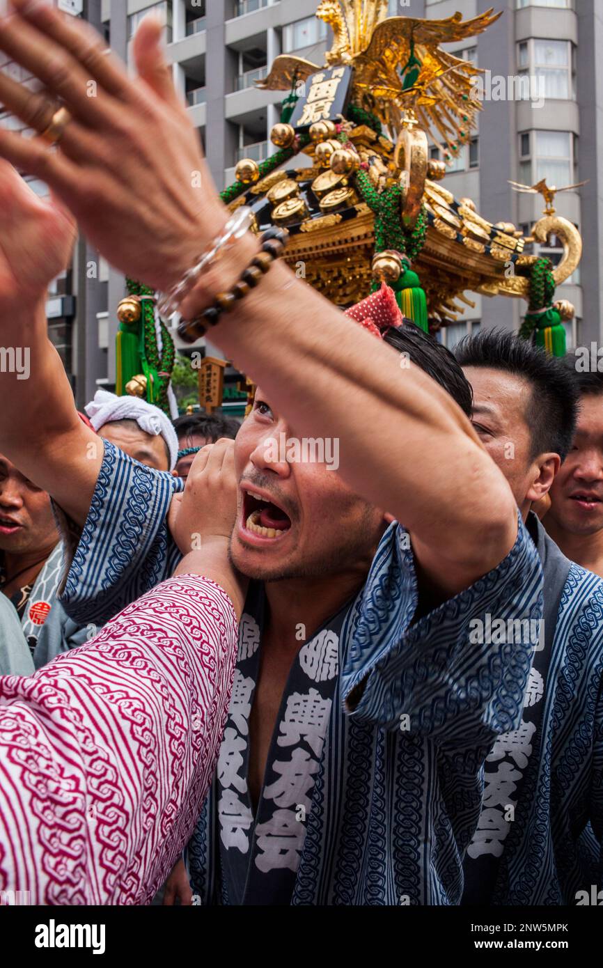 bearer of Mikoshi,Sanja Matsuri Festival, in Kaminarimon dori,next to ...
