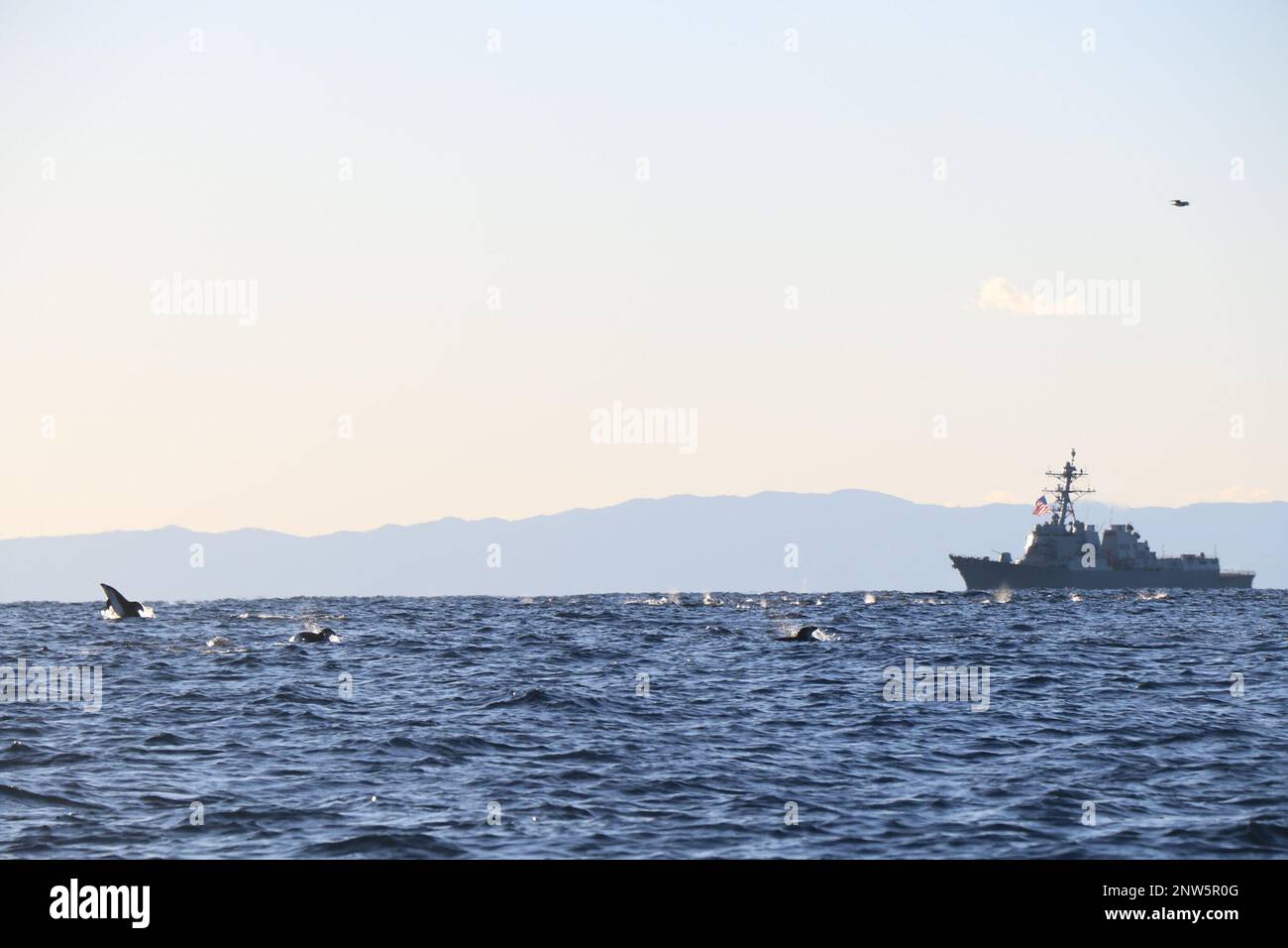 SAGAMI WAN, Japan (Jan. 24, 2023) USS Howard (DDG 83) conducts small ...