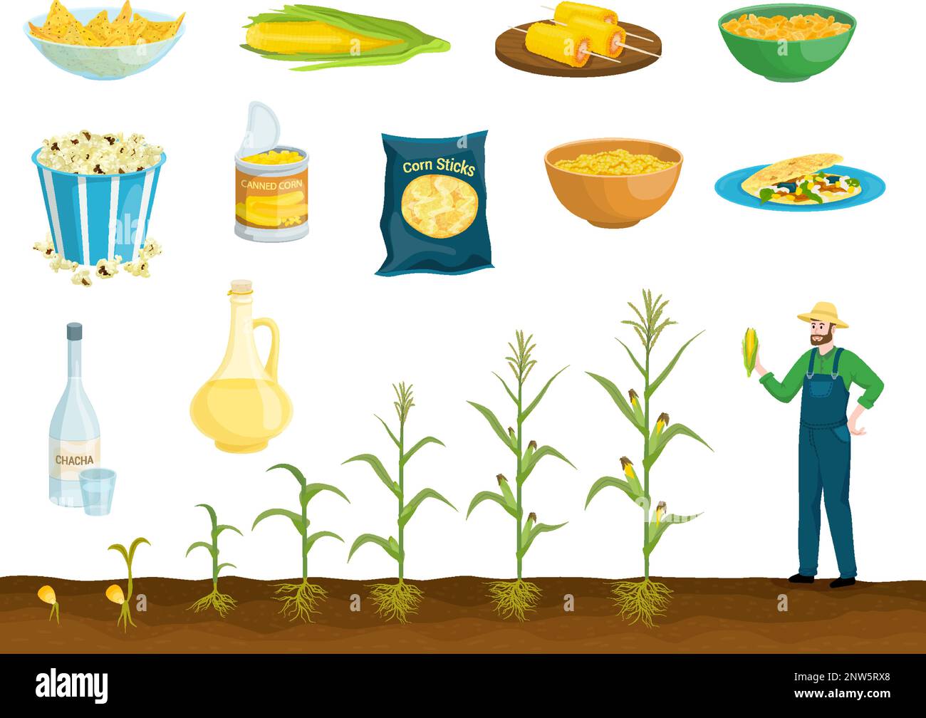 Corn products flat set with isolated images of meals and products with ...