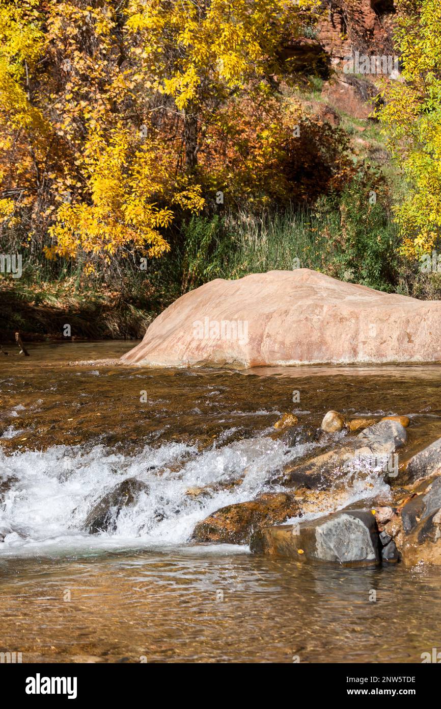 A large smooth boulder in the middle of a creek with fast flowing water ...