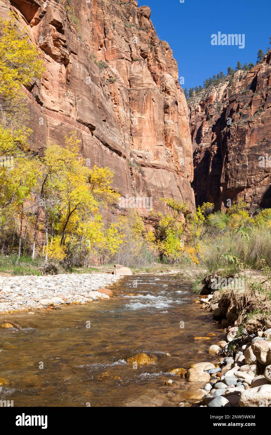 A section of the Virgin River below The Narrows with small rapids, fall ...