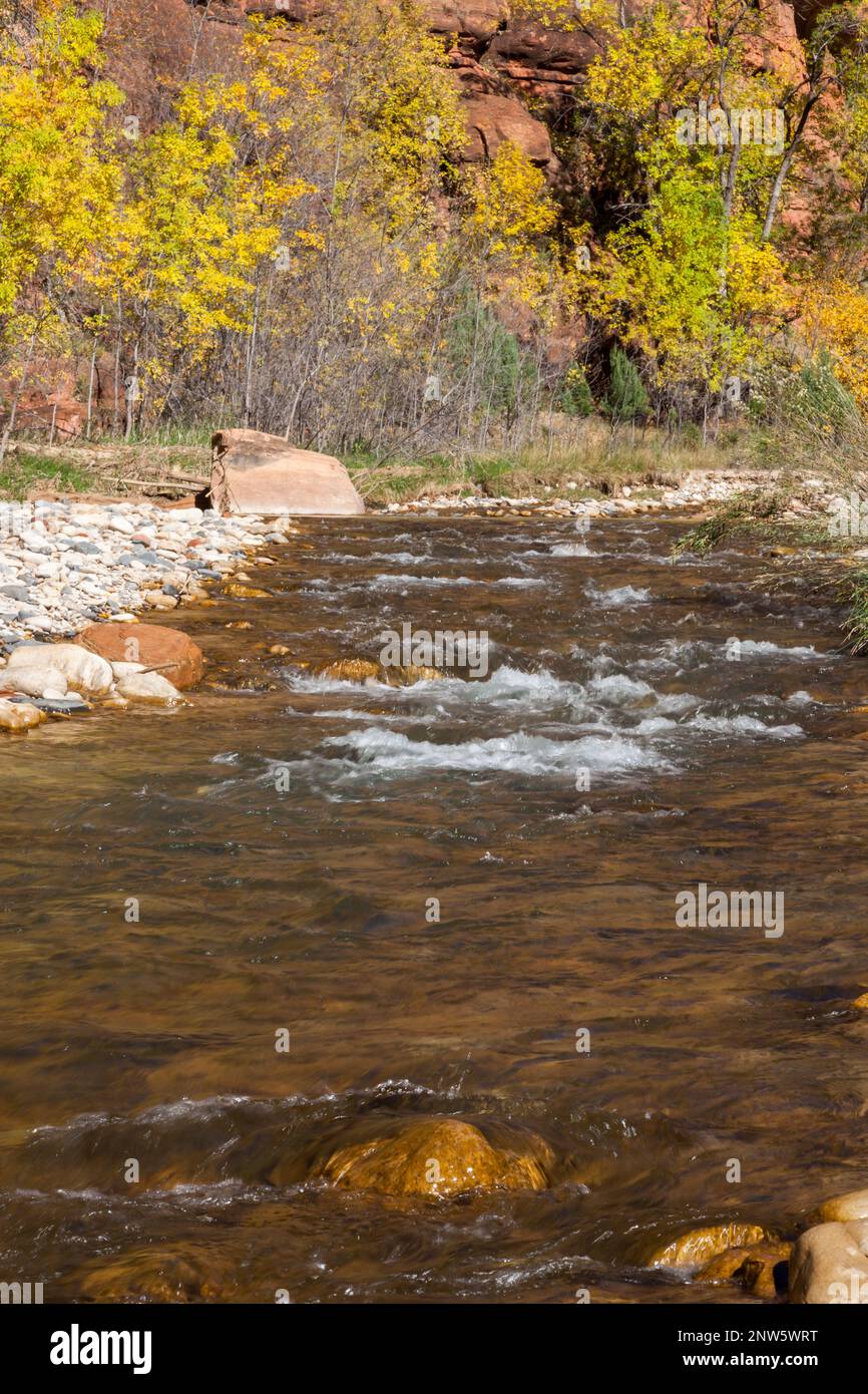 Fast moving water flows over small rocks in the Virgin River below the ...