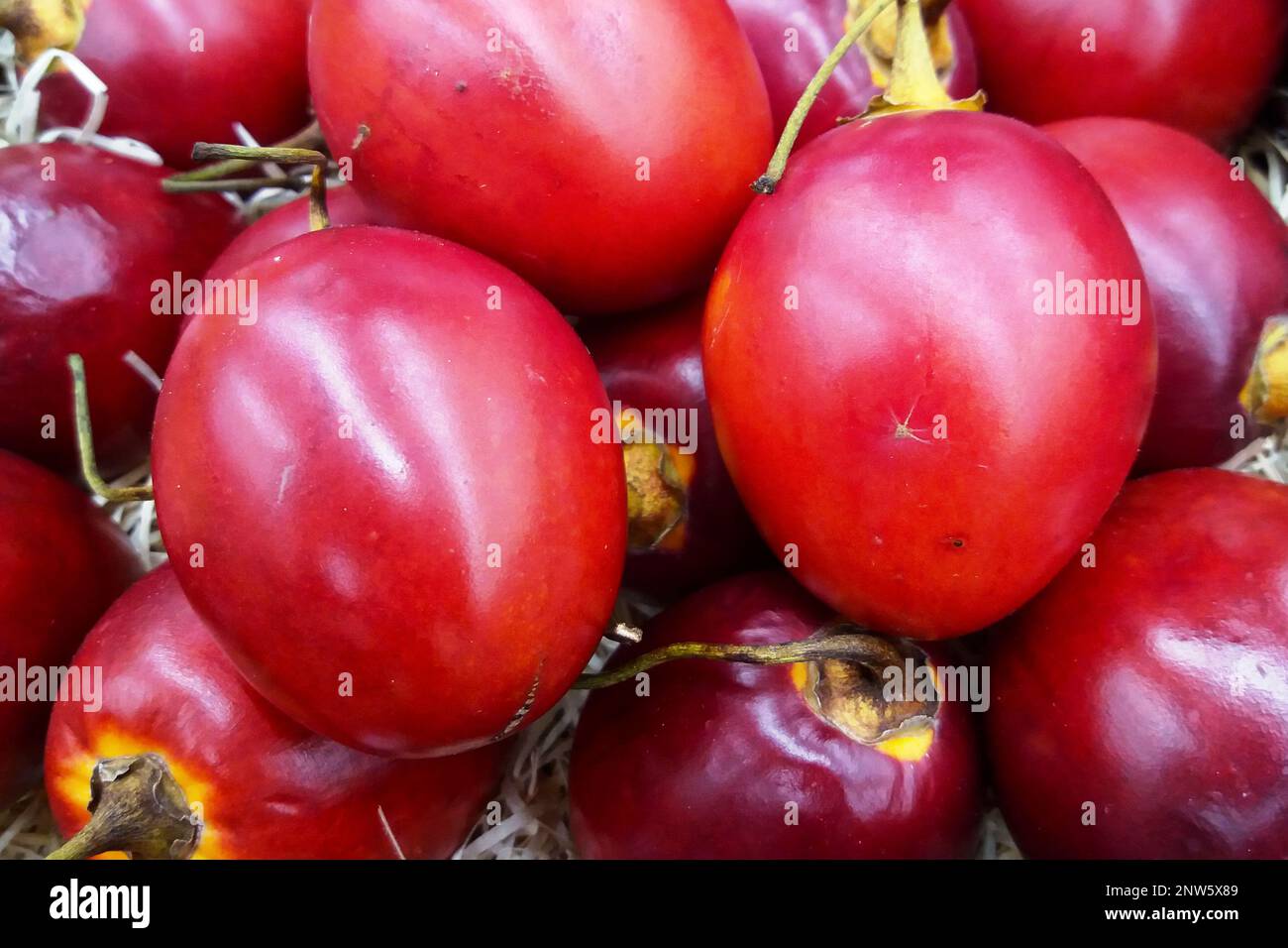 Full frame close up on a stack of Tamarillos on a market stall Stock ...