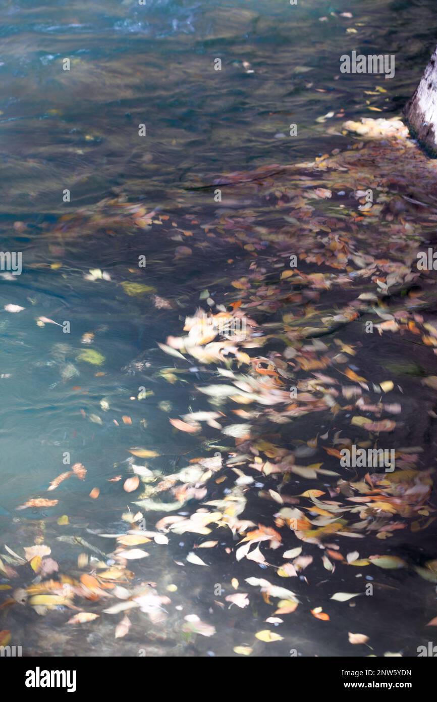 Littered river hi-res stock photography and images - Alamy