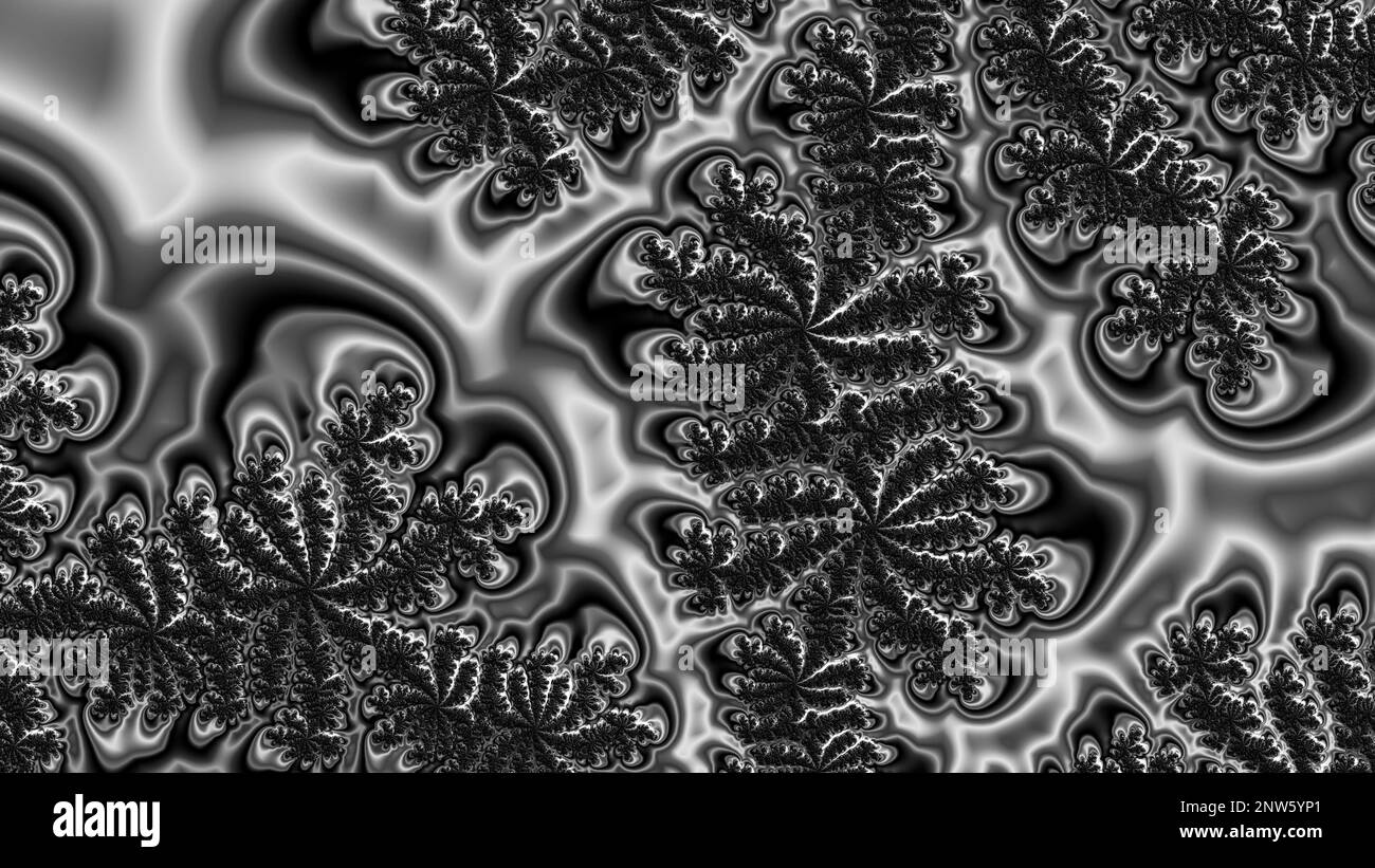 Fractals Black and White Stock Photos & Images - Alamy