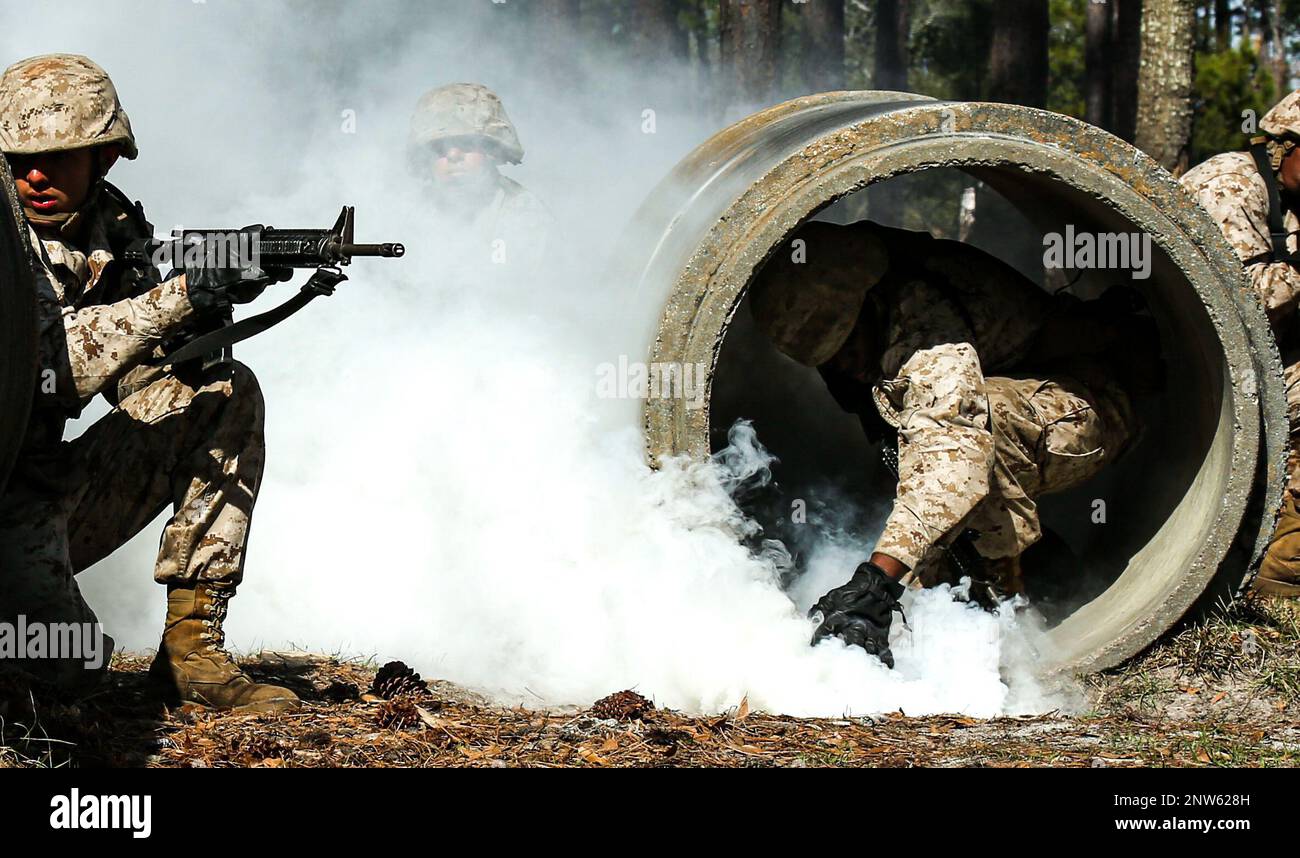 Recruits with Charlie Company, 1st Recruit Training Battalion, run ...