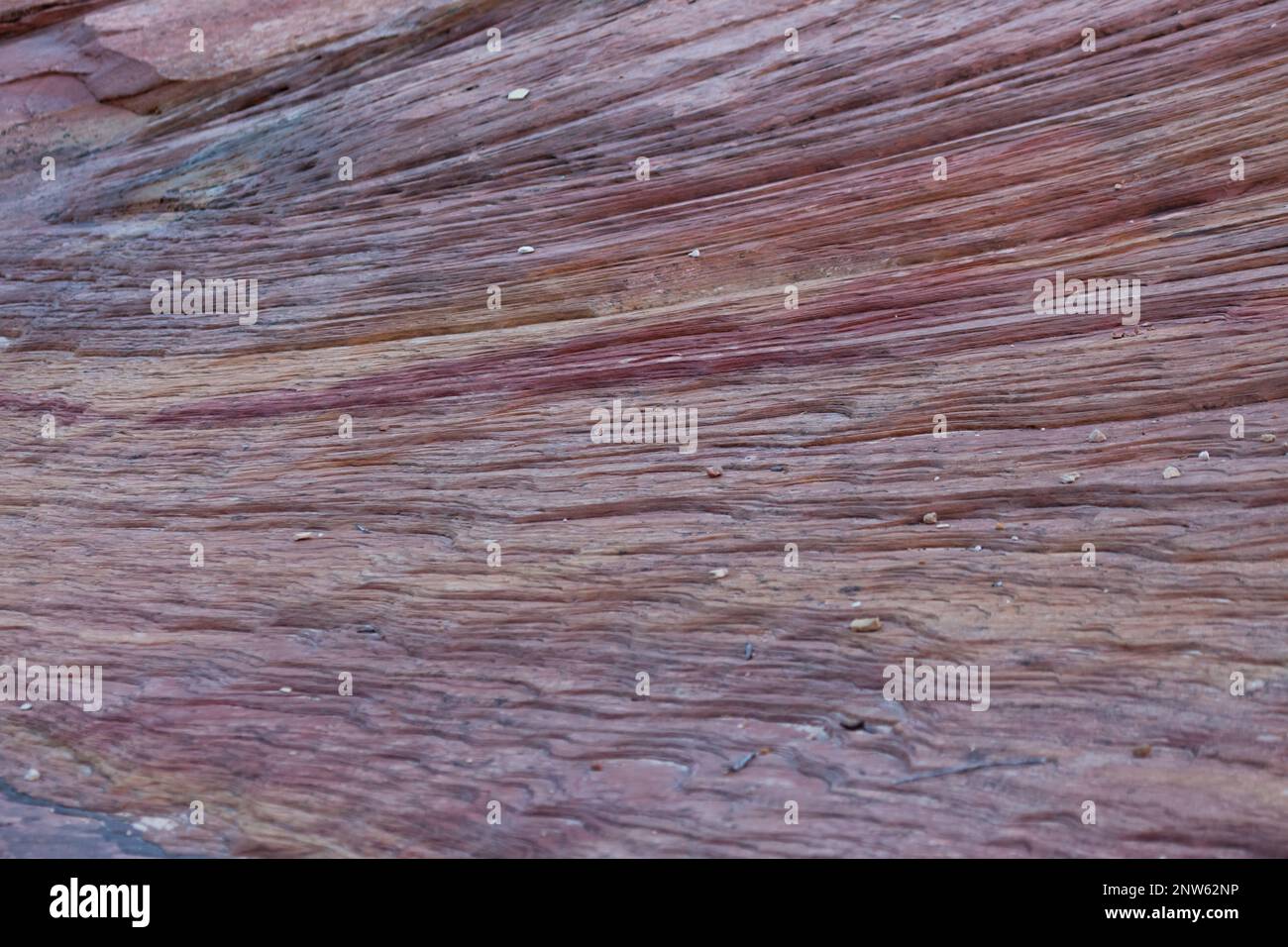 Layers of ancient sandstone rock in pastel colors in Zion National Park ...