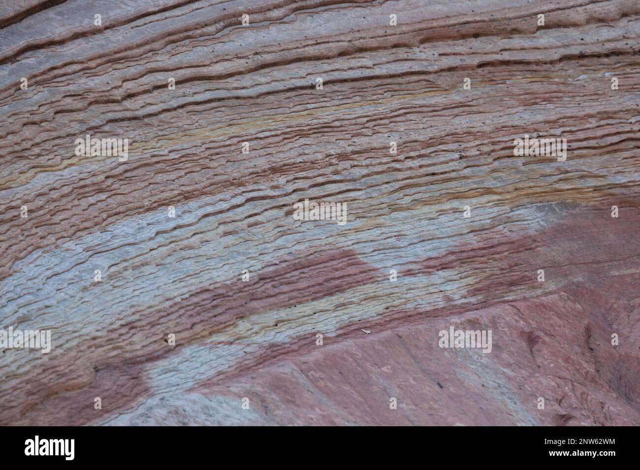 Layers of ancient sandstone rock in pastel colors in Zion National Park ...