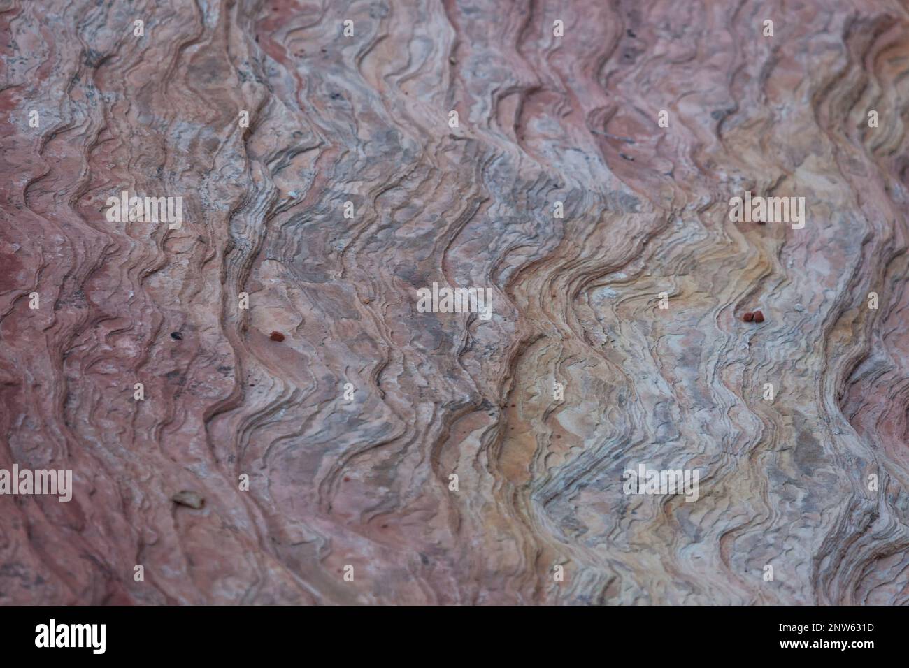 Layers of ancient sandstone rock in pastel colors in Zion National Park ...