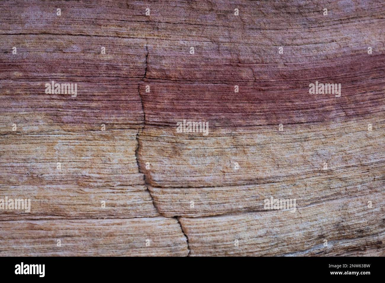 Layers of ancient sandstone rock in pastel colors in Zion National Park ...