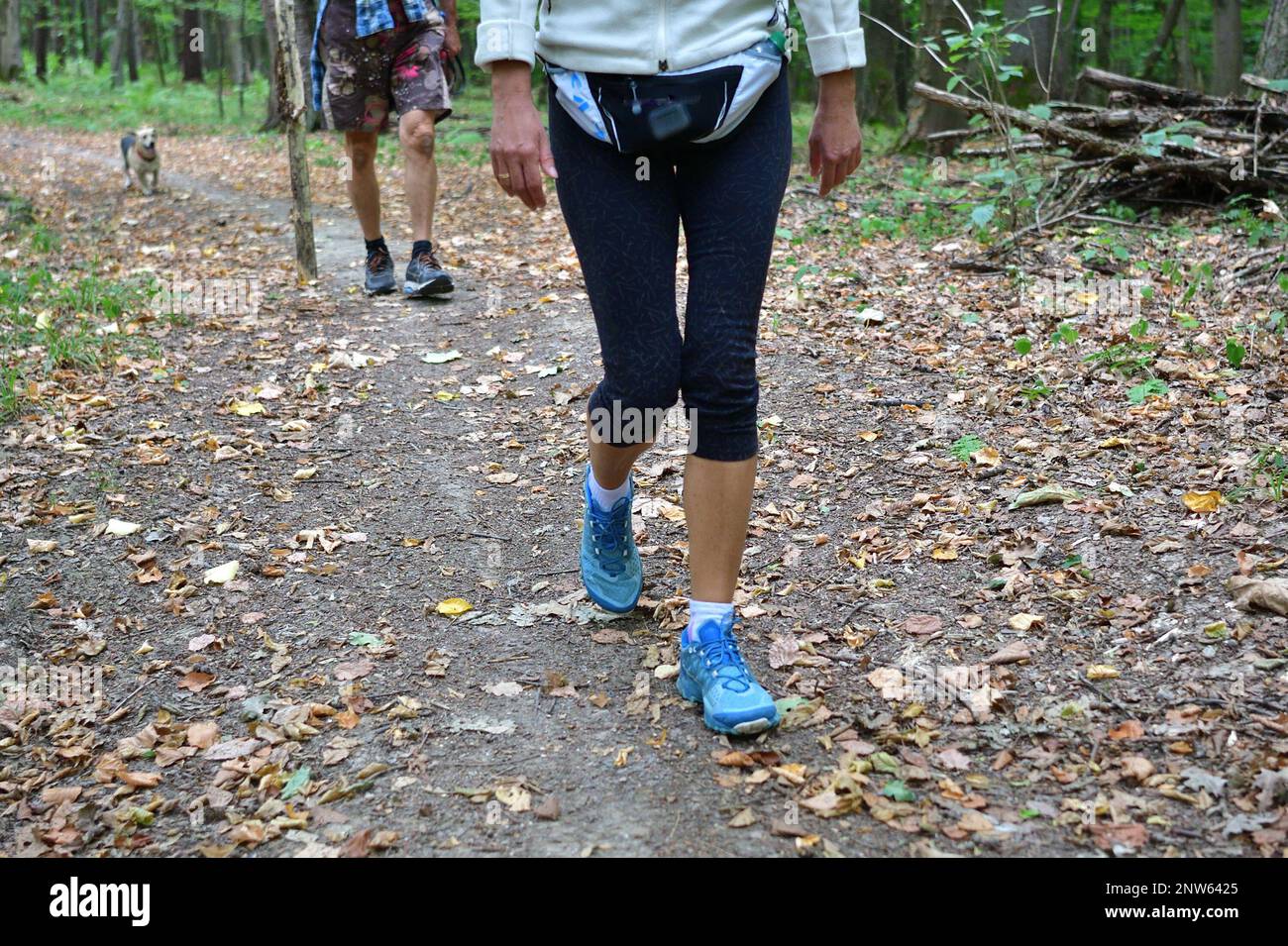 Hikers in light summer shoes walking on a forest path with leaves in ...