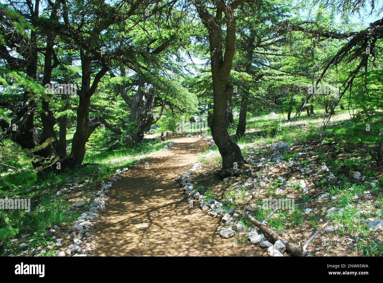 Barouk hiking hi-res stock photography and images - Alamy