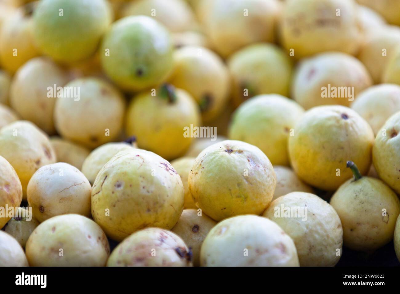 Full frame close-up on a stack yellow guavas on a market stall Stock ...
