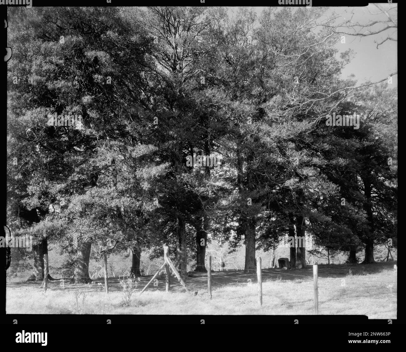 Bowling green virginia Black and White Stock Photos & Images - Alamy