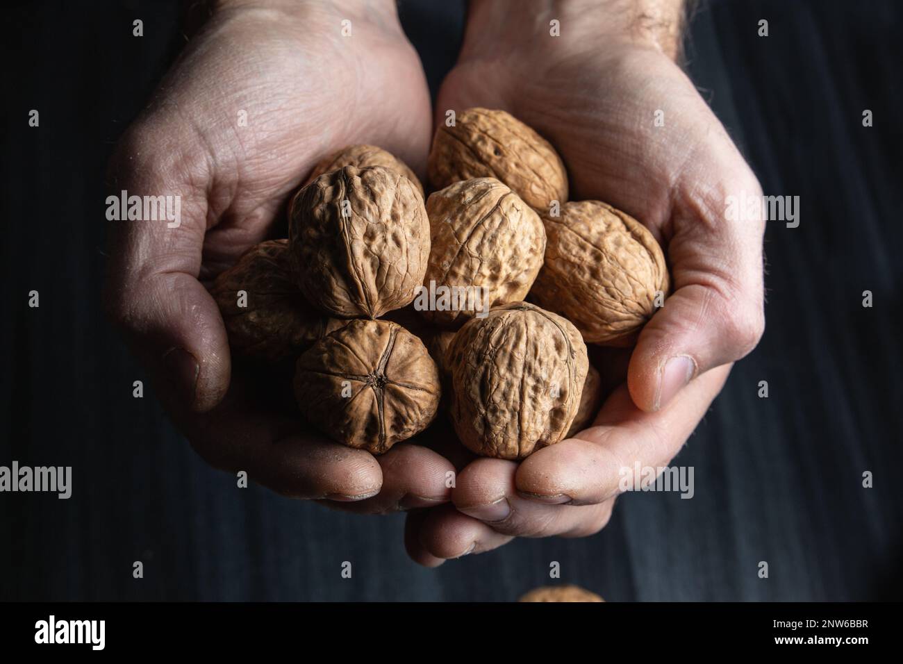 A handful of walnuts on the open man hands, dark background Stock Photo ...