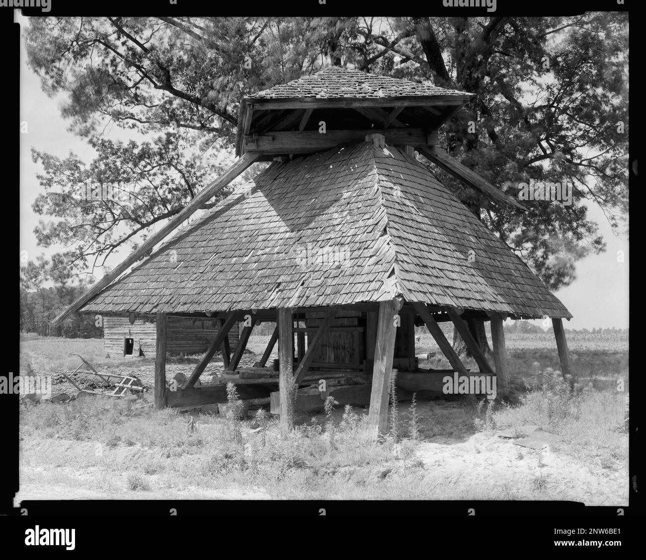 Norfleet Farm, Tarboro vic., Edgecombe County, North Carolina. Carnegie ...