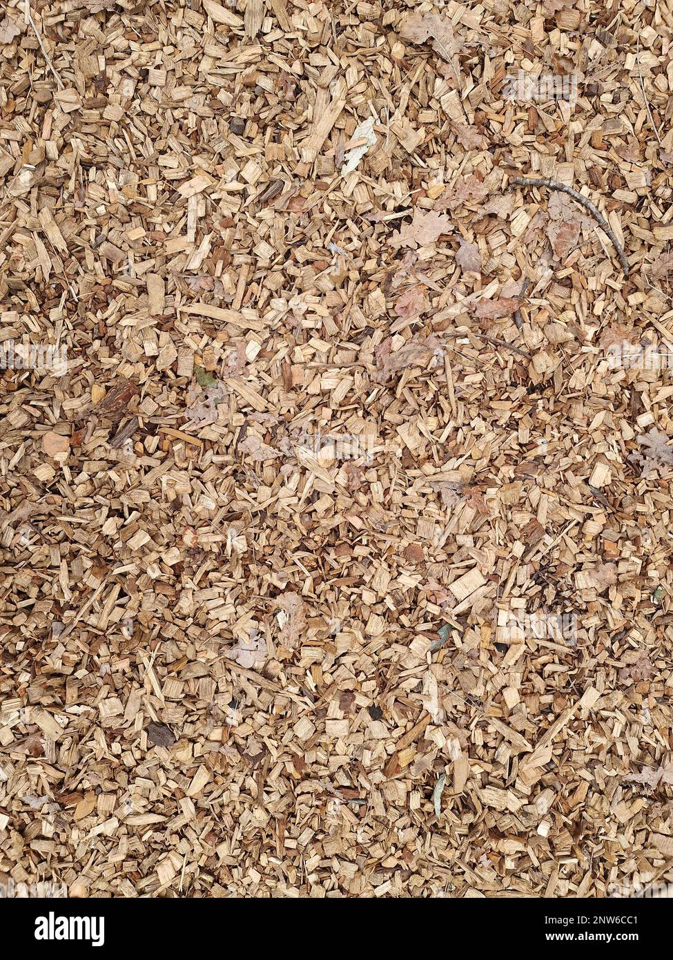 Woodchip wallpaper hi-res stock photography and images - Alamy