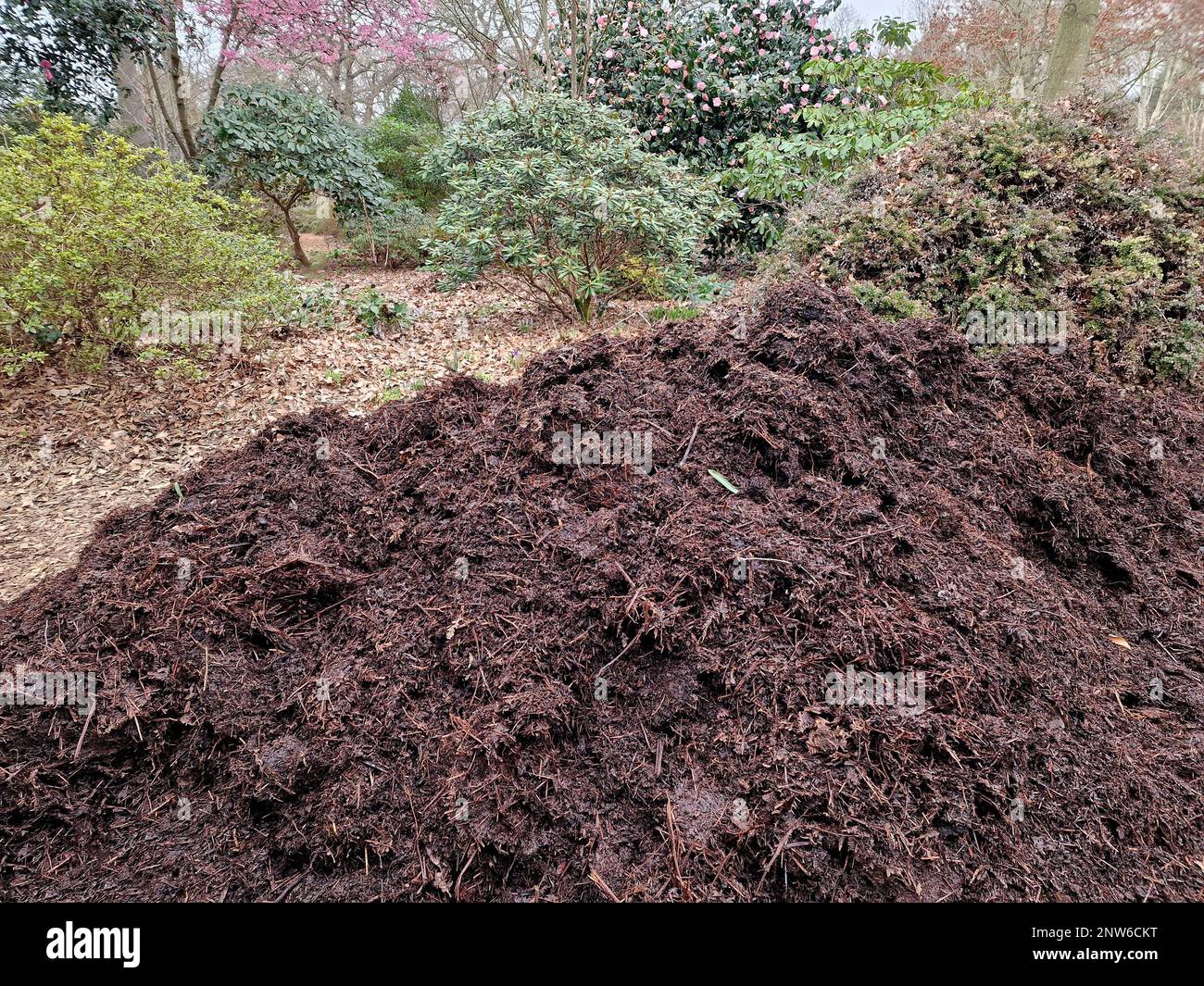 Compost heap winter hi-res stock photography and images - Alamy