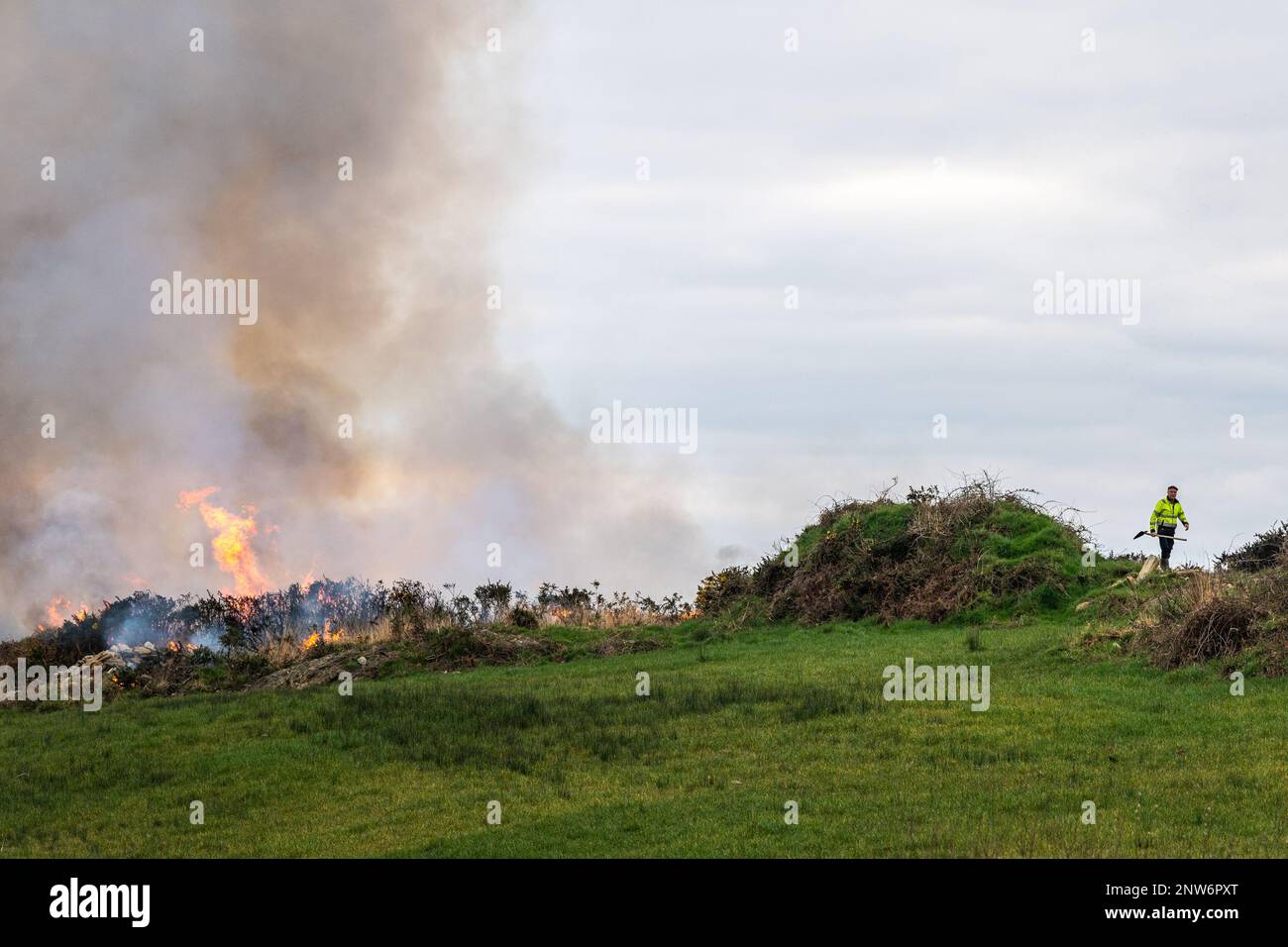 Gorse fire west cork hi-res stock photography and images - Alamy