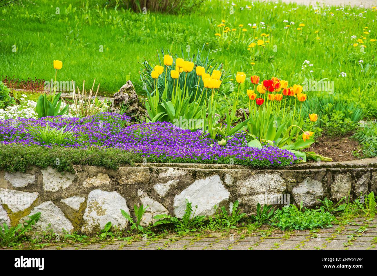 Small rockery in the backyard with colourful spring flowers in a rural ...