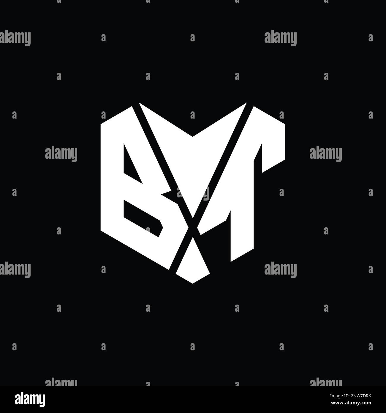 BT Logo monogram abstract hexagon shape vector images design template ...