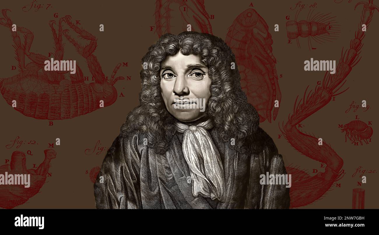 Antonie van leeuwenhoek hi-res stock photography and images - Alamy