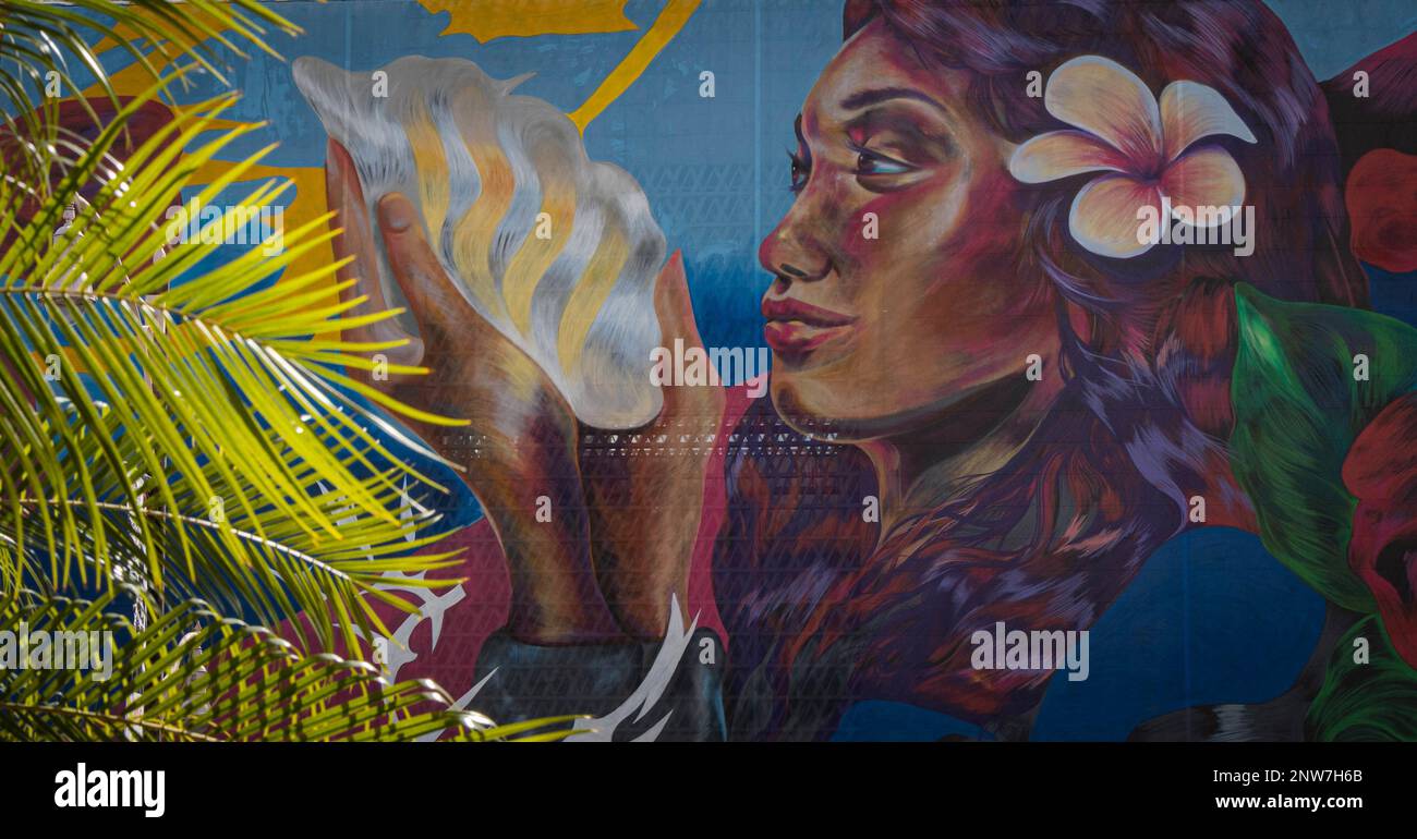 A hibiscus mural is displayed at street art locations on Guam, Jan. 18 ...