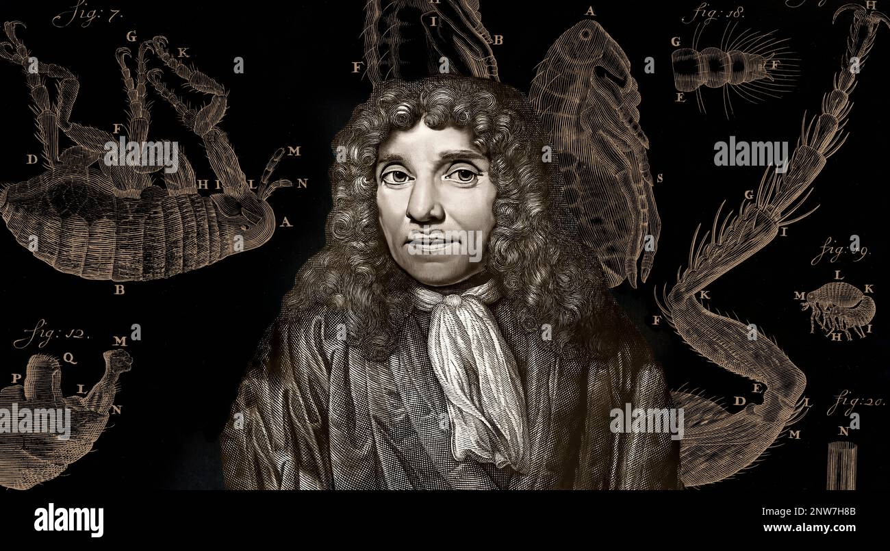 Antonie Philips van Leeuwenhoek, 1632 – 1723, a Dutch microbiologist ...