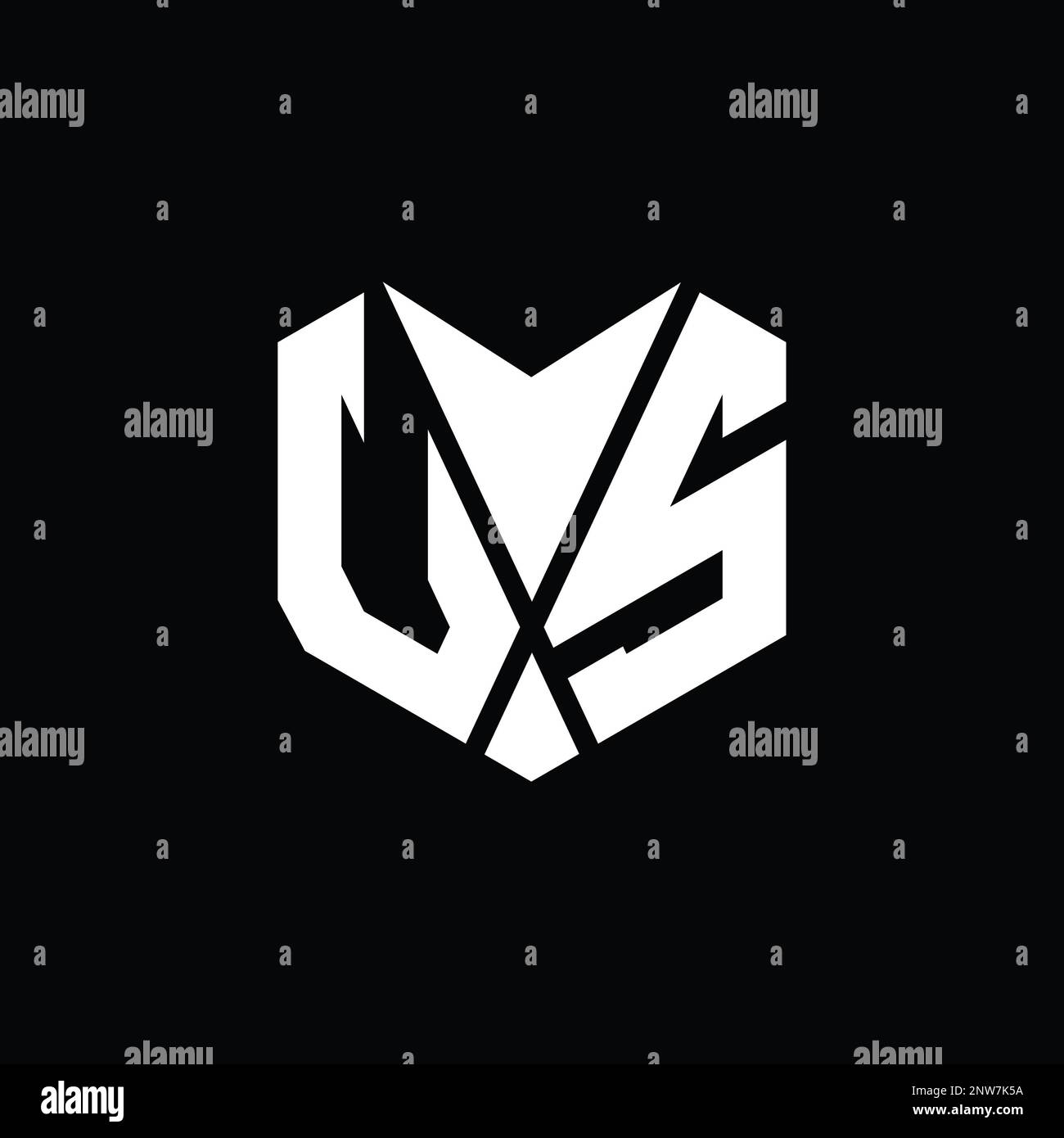 VS Logo monogram abstract hexagon shape vector images design template ...