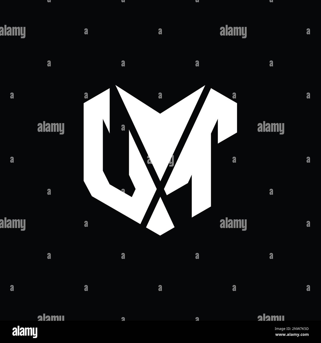 VT Logo monogram abstract hexagon shape vector images design template ...