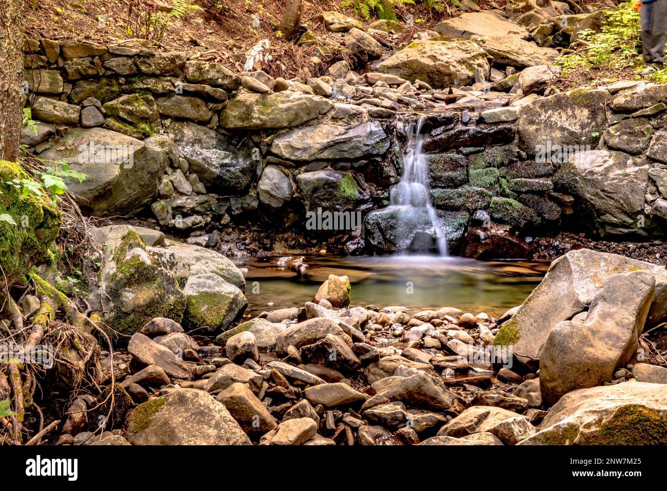 Small stream and waterfall in the woods Stock Photo - Alamy