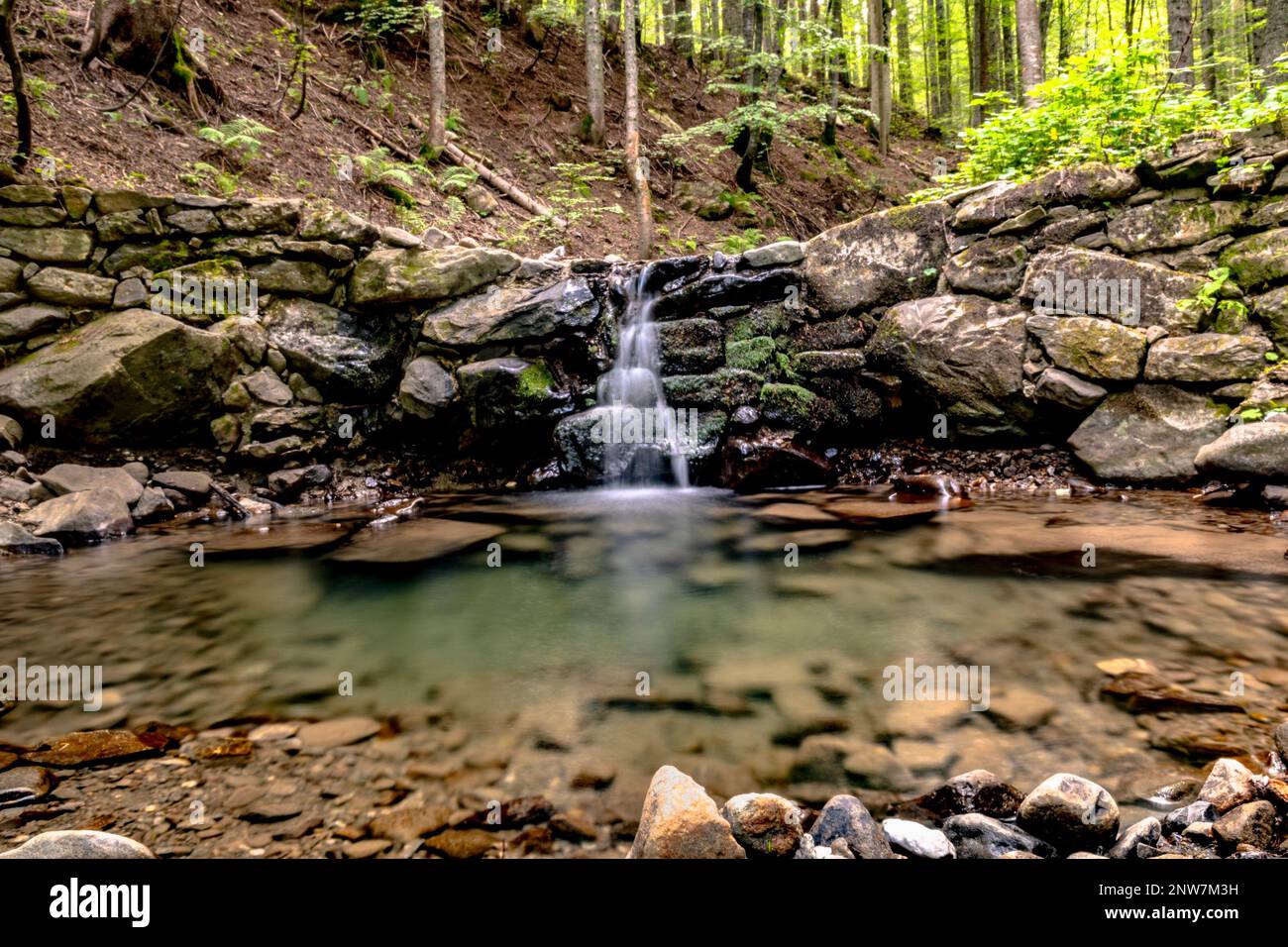 Small stream and waterfall in the woods Stock Photo - Alamy