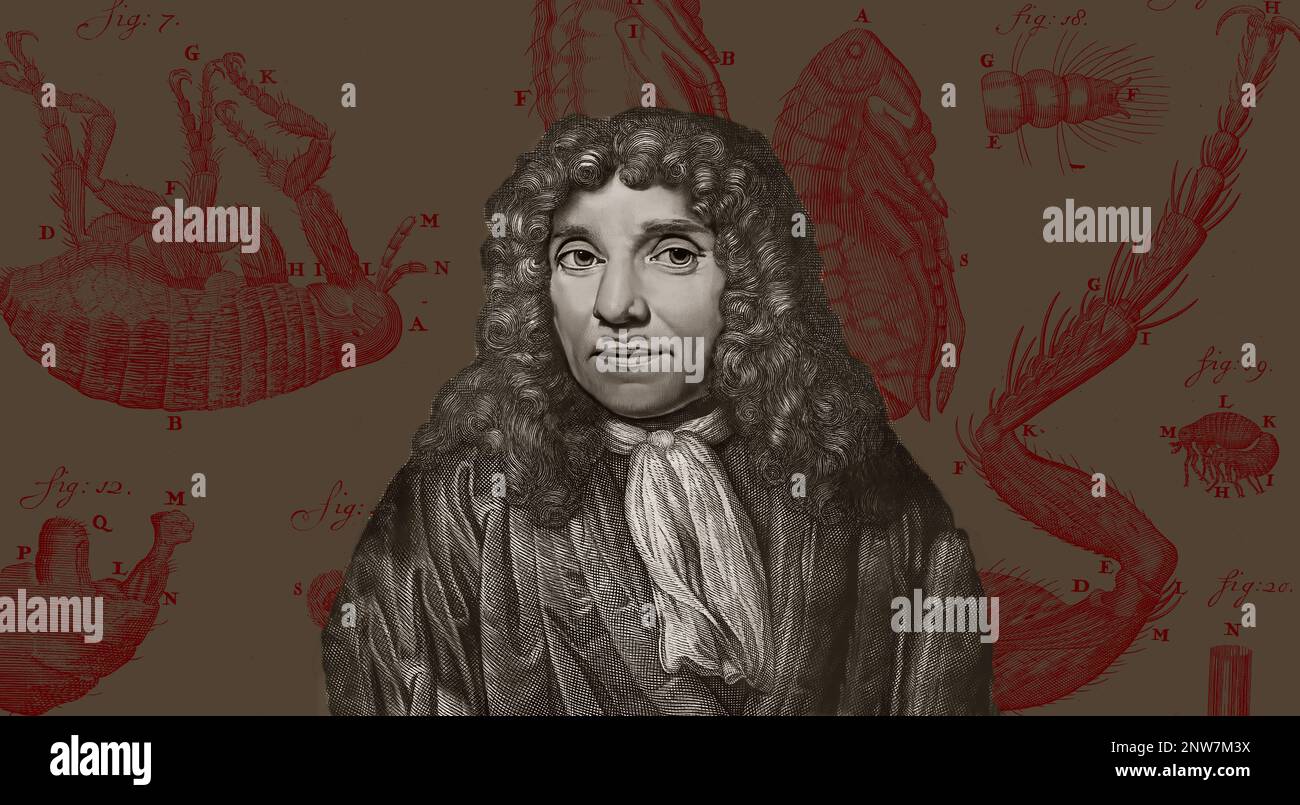 Antonie Philips van Leeuwenhoek, 1632 – 1723, a Dutch microbiologist ...