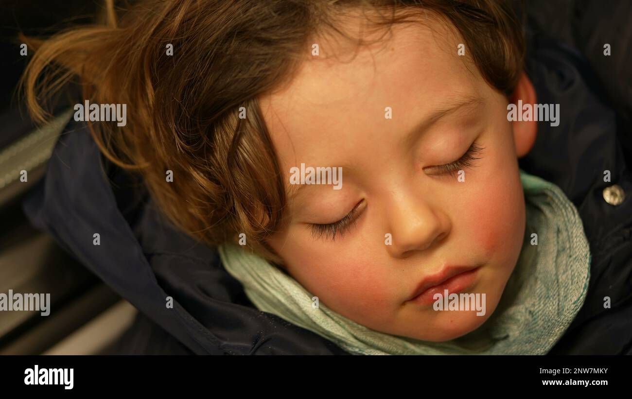 Portrait of sleeping child while traveling inside train. Little boy in ...