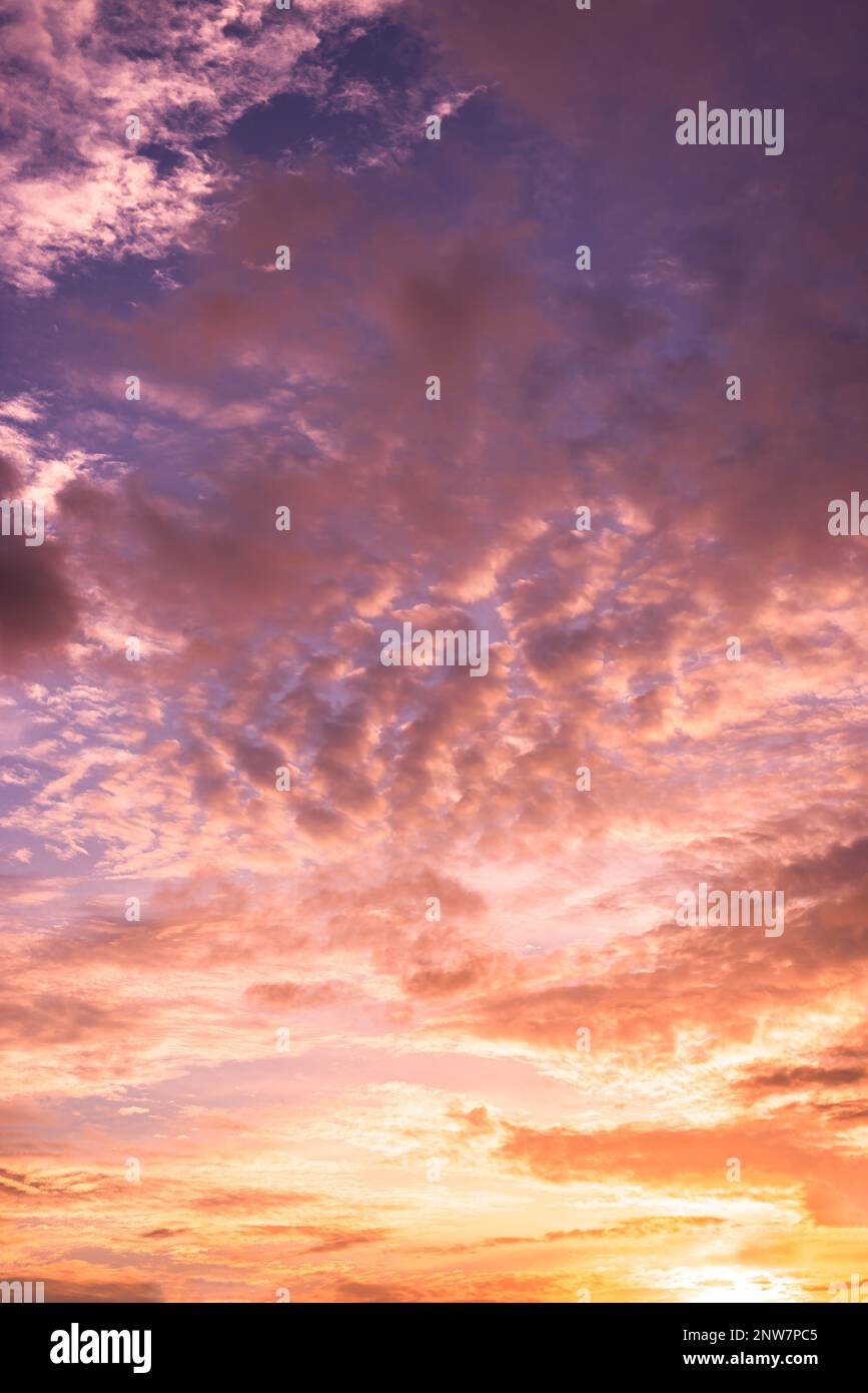 Abstract and pattern of cloud sky Calming coral, Orange, Trend color ...