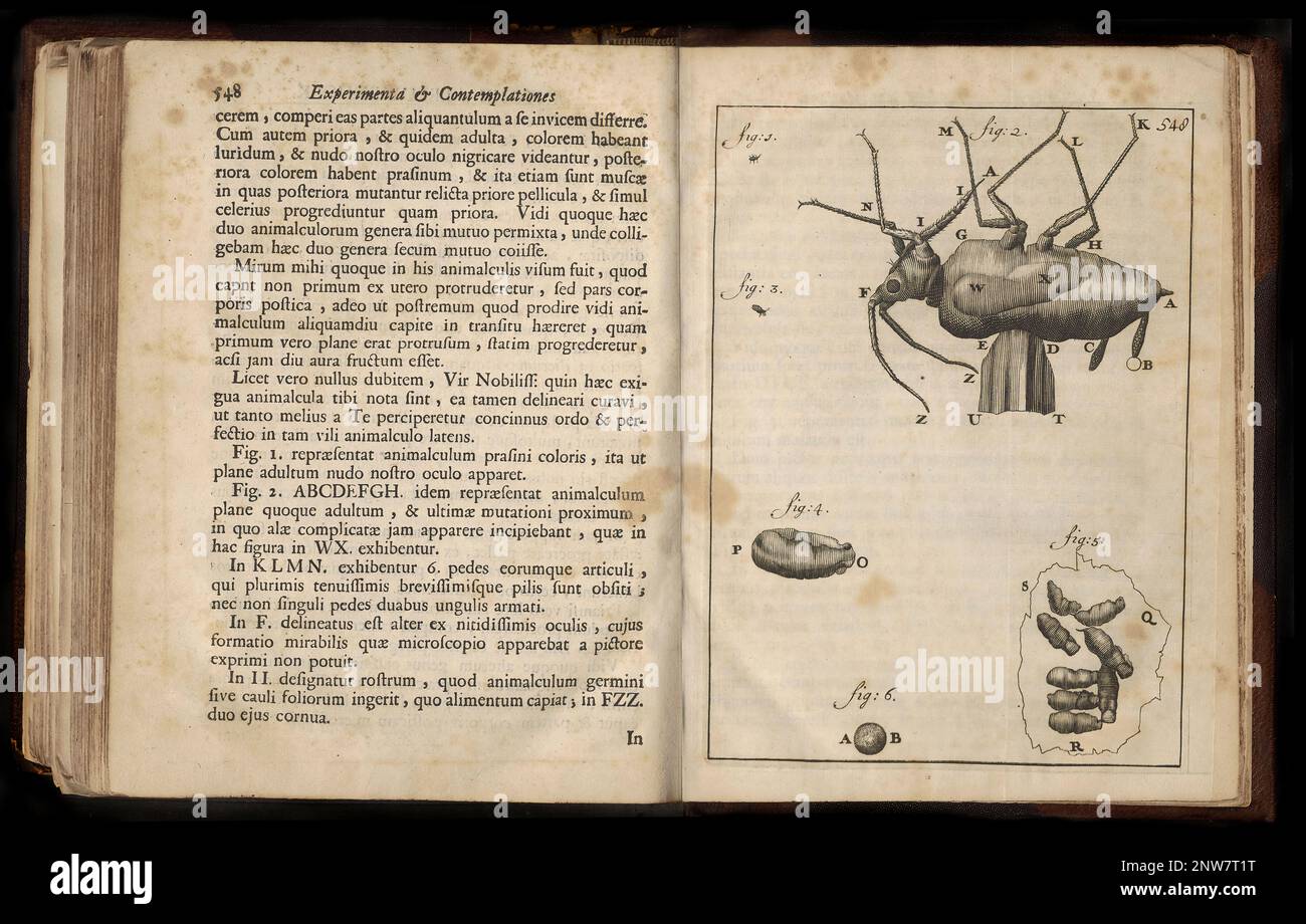 Arcana naturae detecta by Antonie Philips van Leeuwenhoek, 1632 – 1723 ...