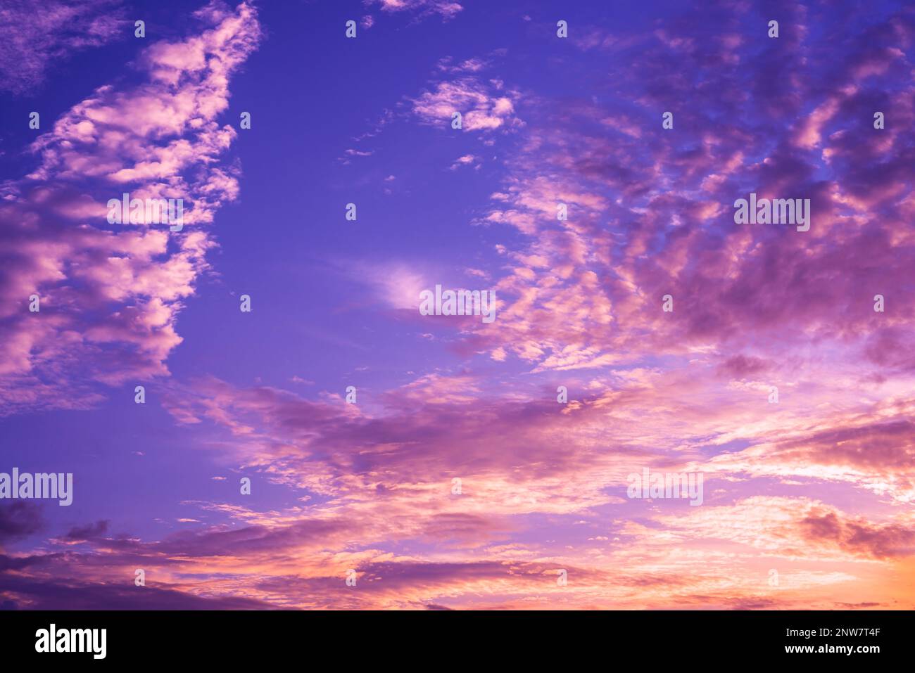 Abstract and pattern of cloud sky, Velvet violet, Velvet Purple, Trend ...